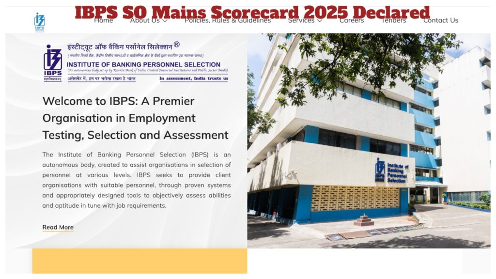 IBPS SO Mains Scorecard 2025 Declared - Direct Link to Check Score at ...